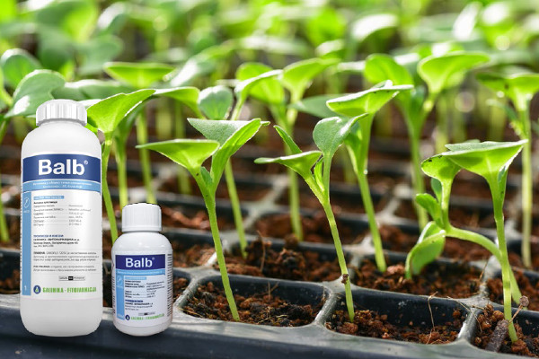 Galenika Fitofarmacija | Povrtarstvo Single